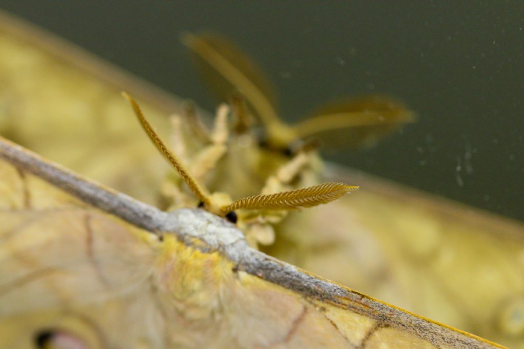 Vreemde vakantiegewoonte | Toeractief