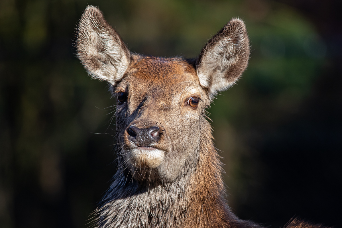 Wie het kwetsbare niet waardeert... | Toeractief