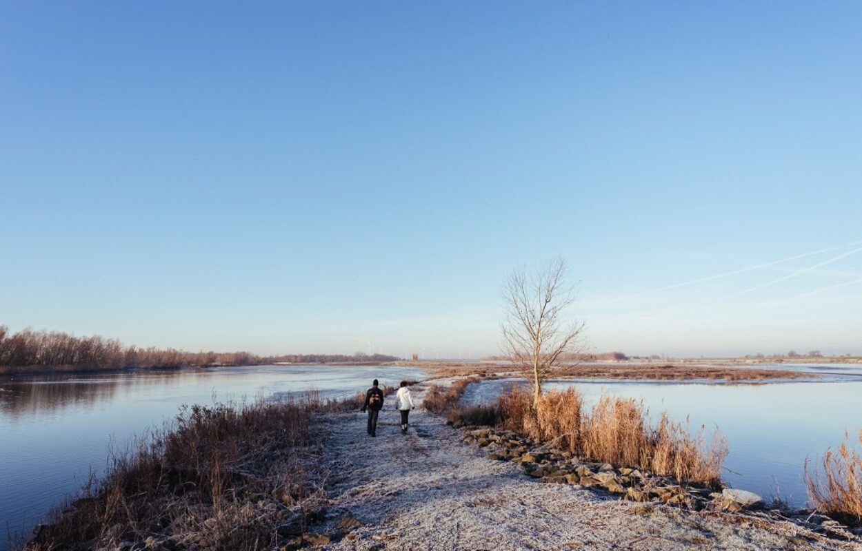 Wandelroute Strijensas brengt je in magische sferen - Toeractief
