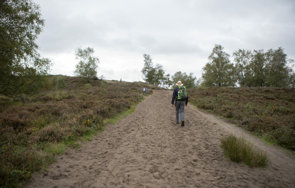 Wandelroute Wellerlooi: natuurschoon in Landgoed De Hamert - Toeractief
