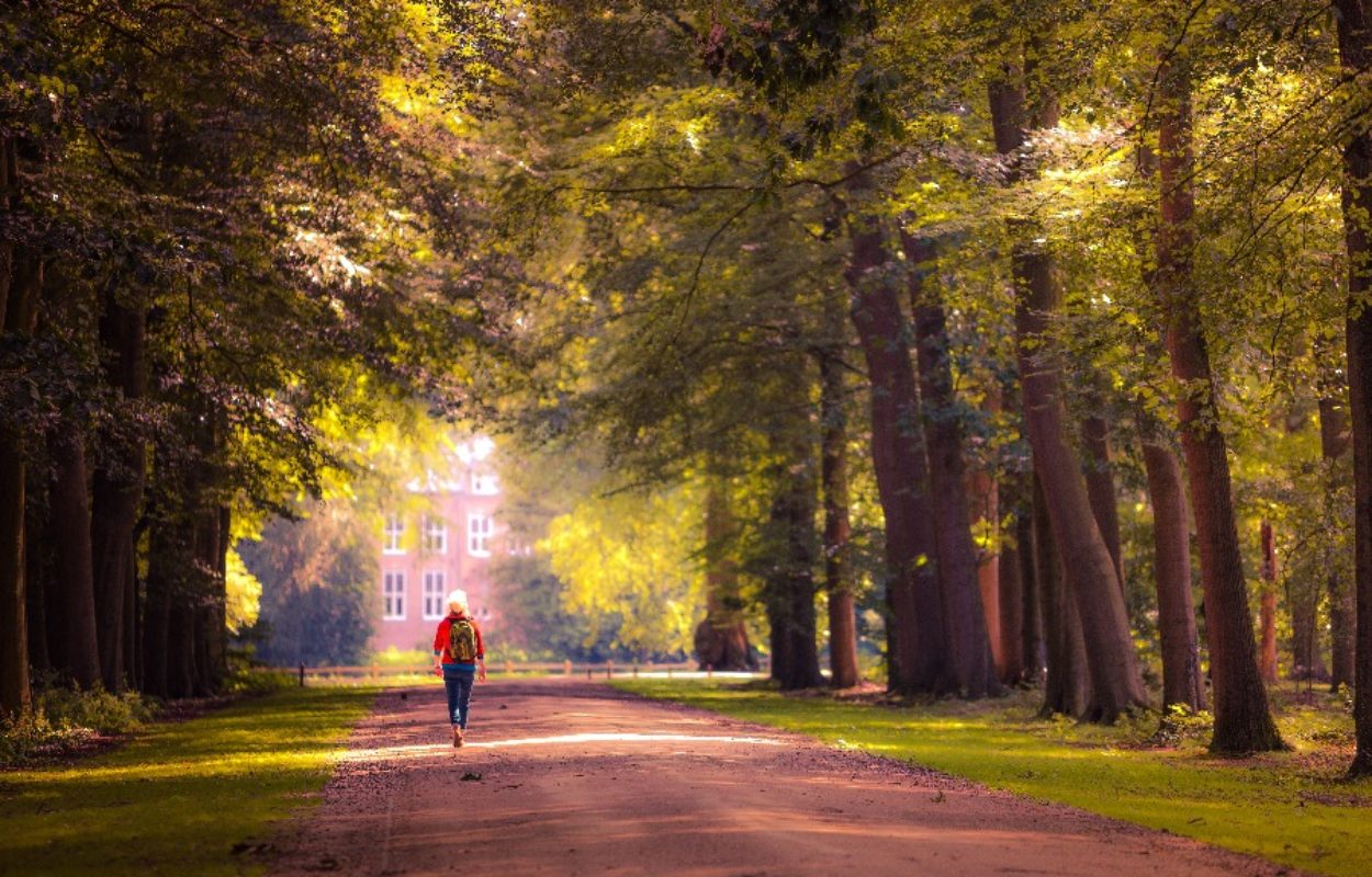 Wandelroute vol rijkdom in de bossen bij Doorn - Toeractief