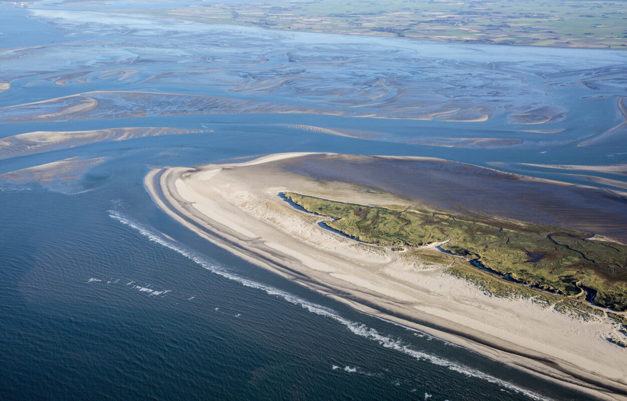 Een eerbetoon aan de Waddenzee: de Dag van het Wad - Toeractief